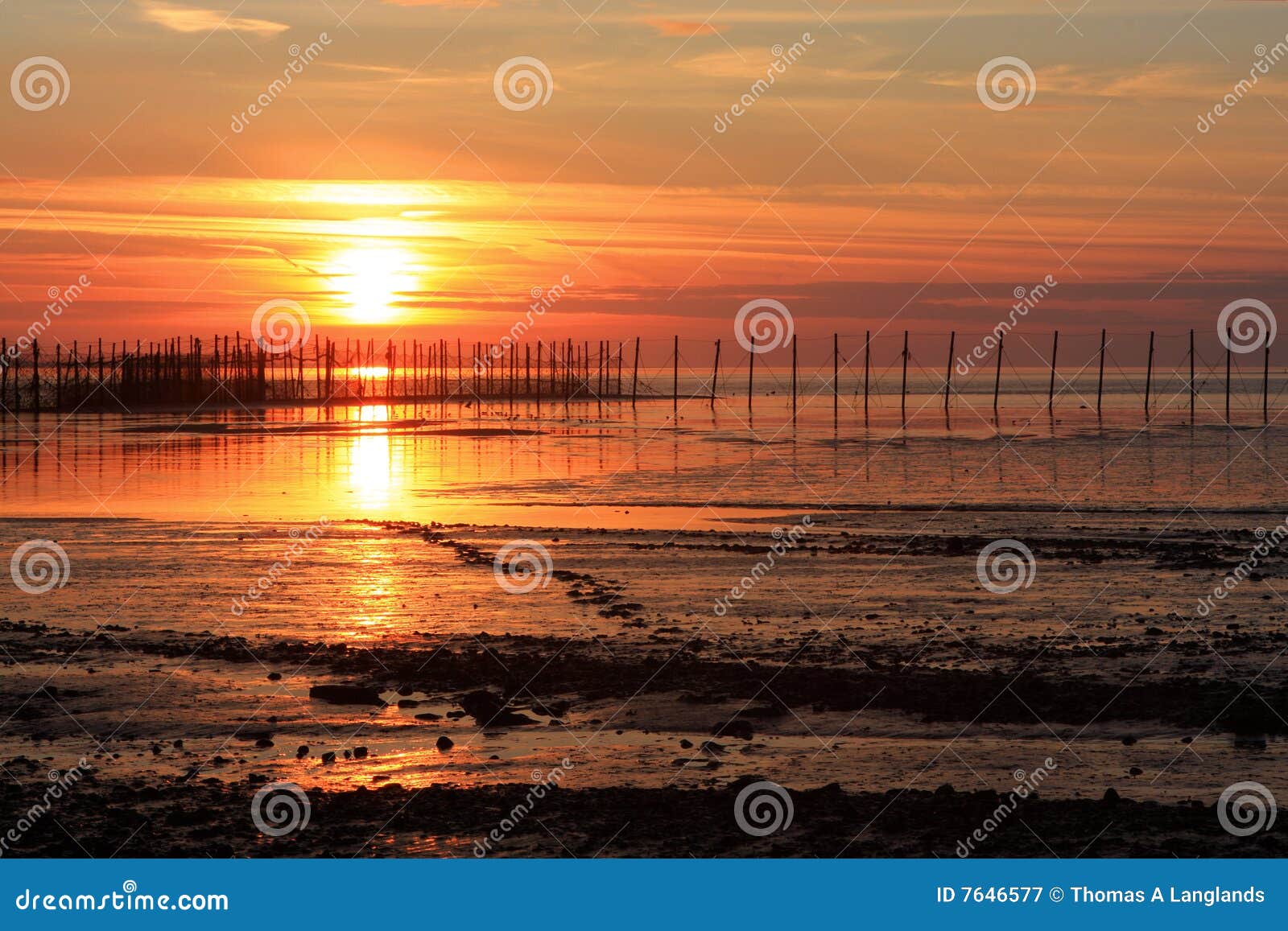 Sunset and Fishing Stakes stock image. Image of natural - 7646577