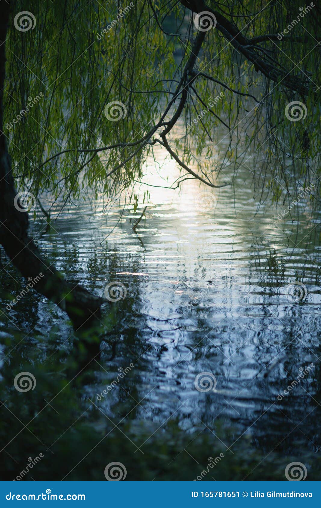 Sunset Flare on the Water in the Lake. Stock Image - Image of beauty ...