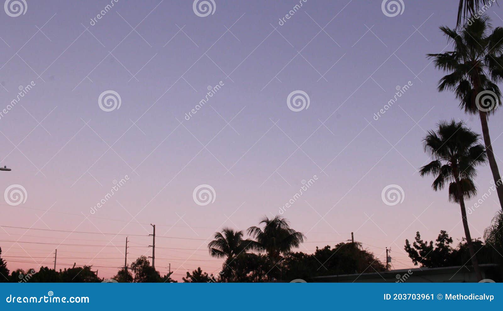 Sunset in Florida Low Angle Stock Image - Image of skyline, evening ...