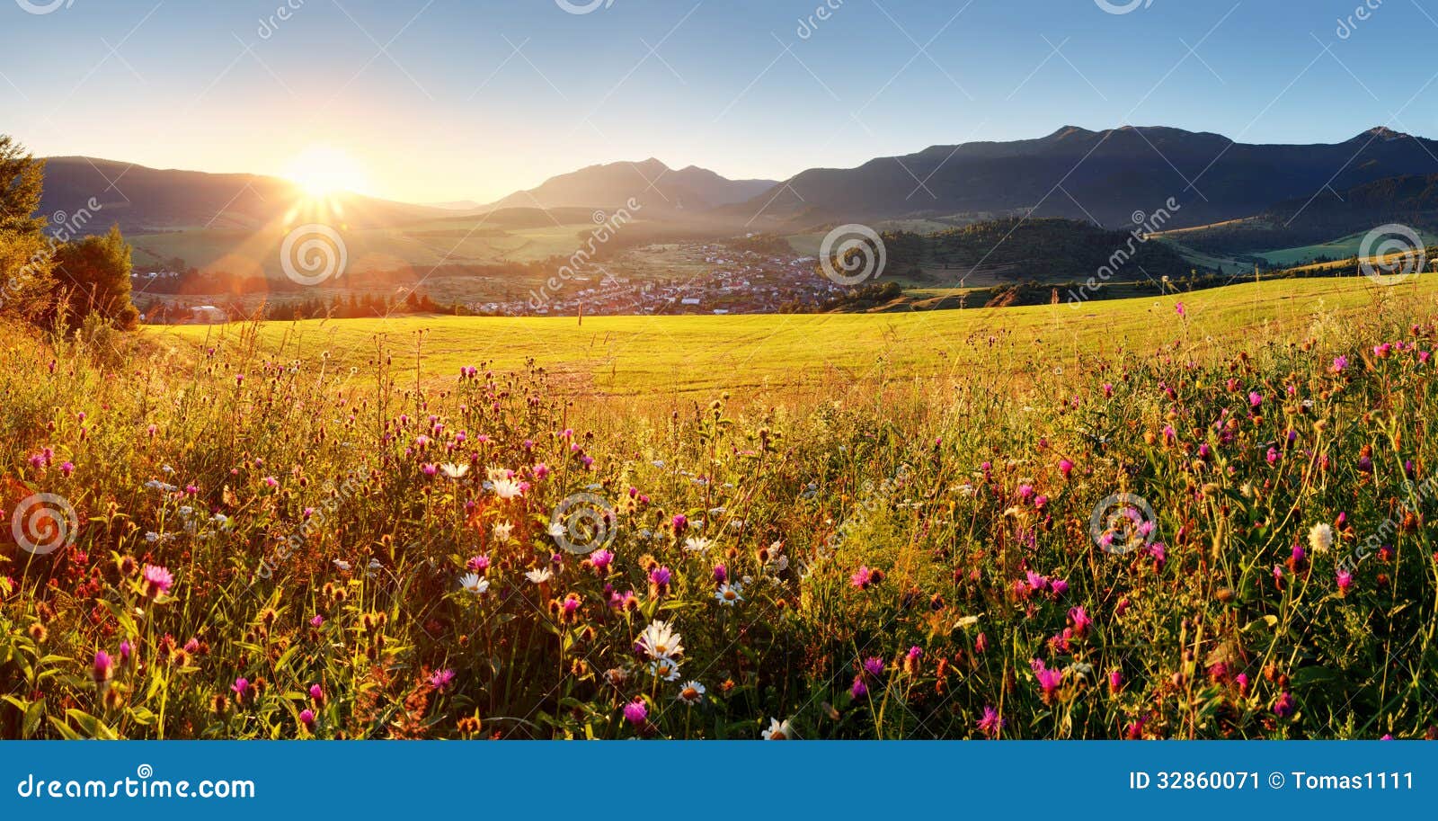 Sunset on Flower Field - Slovakia Tatra Stock Image - Image of field ...