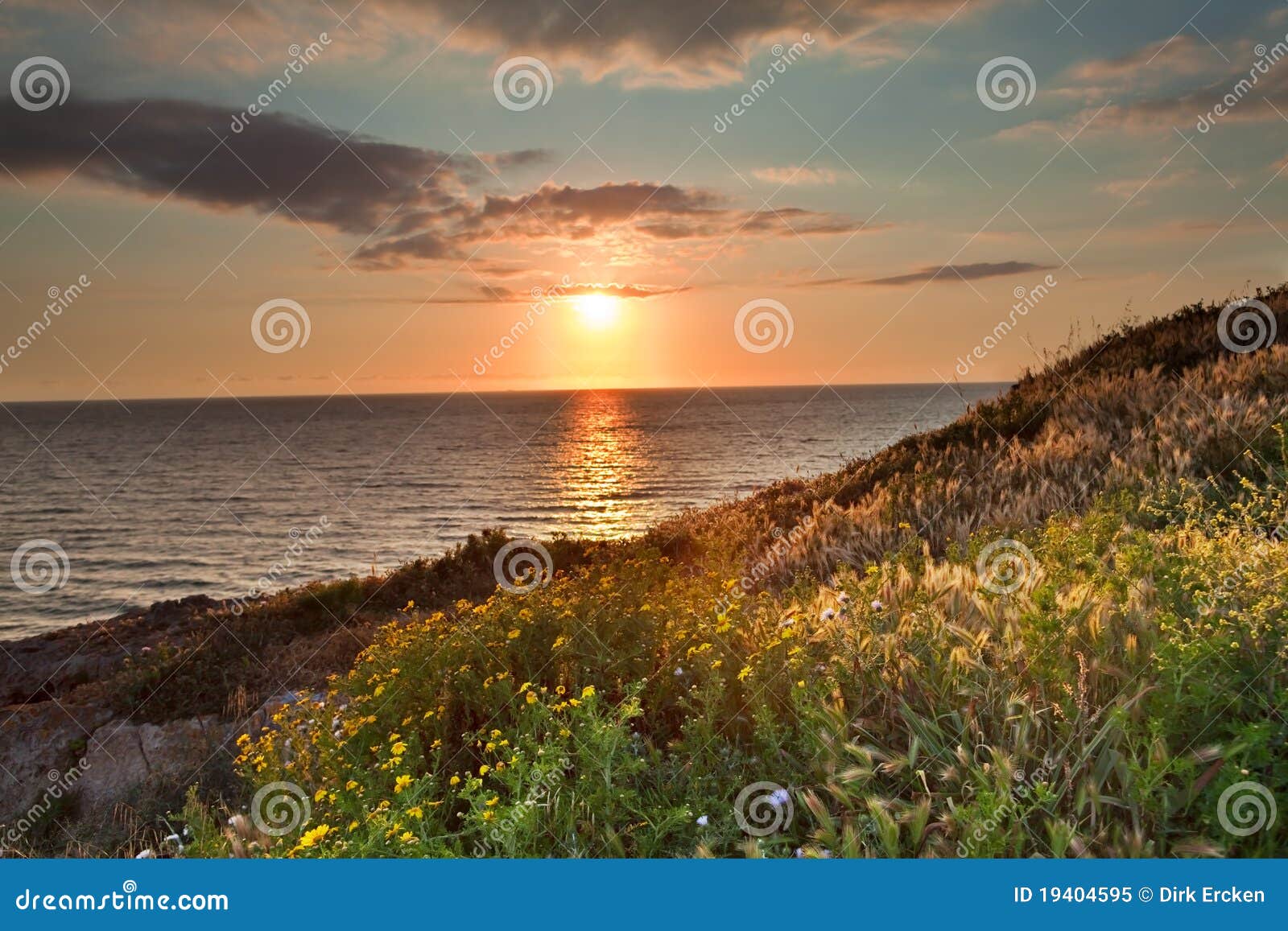 Sunset Flower Meadow and Ocean Spring Colors Stock Image - Image of ...