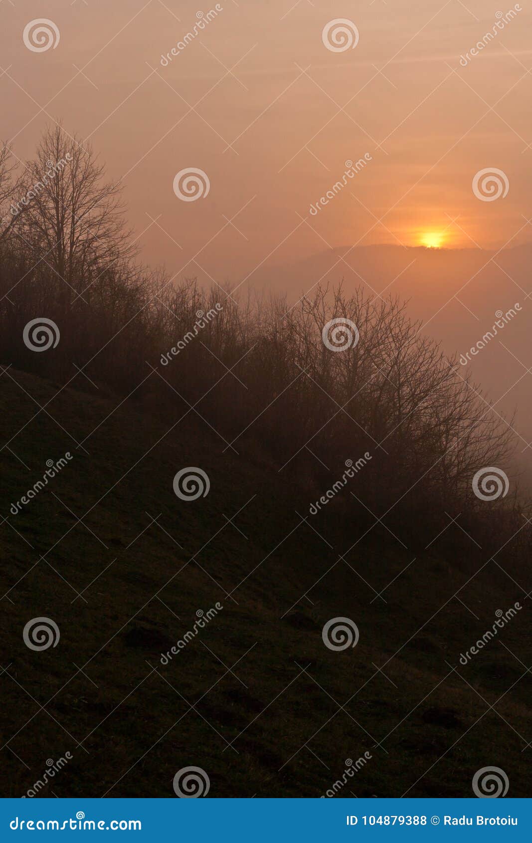 Sunset in fog stock photo. Image of sunset, outdoor - 104879388