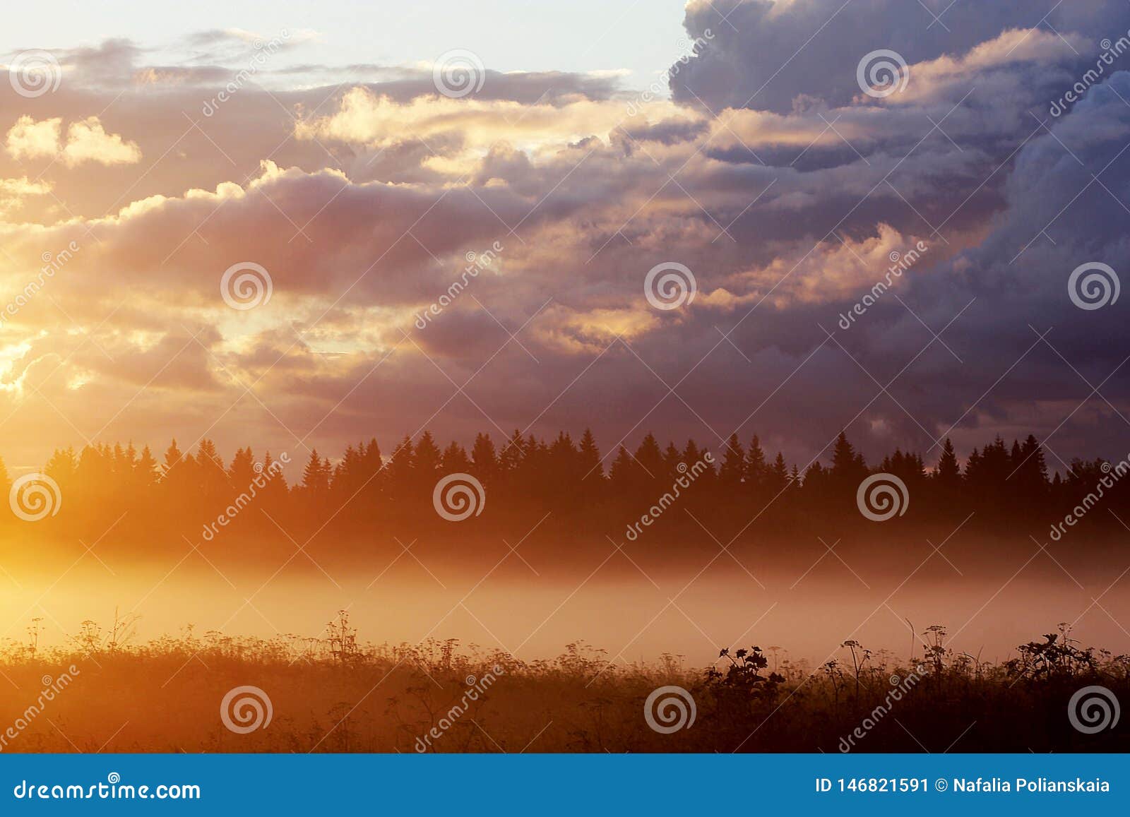 Sunset in the fog stock image. Image of blue, field - 146821591