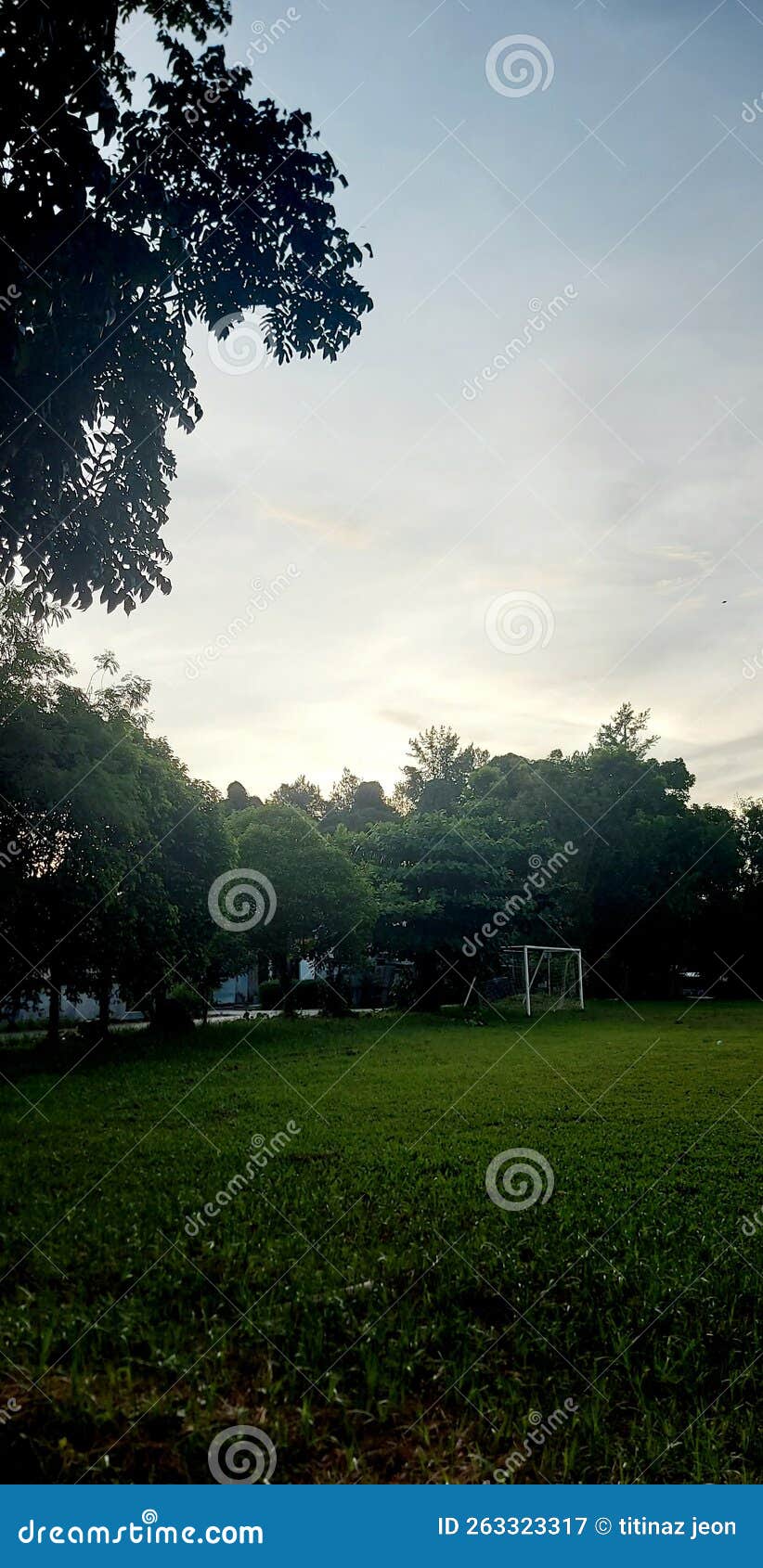 Sunset at Football Fields Green Grass Stock Image - Image of fields ...
