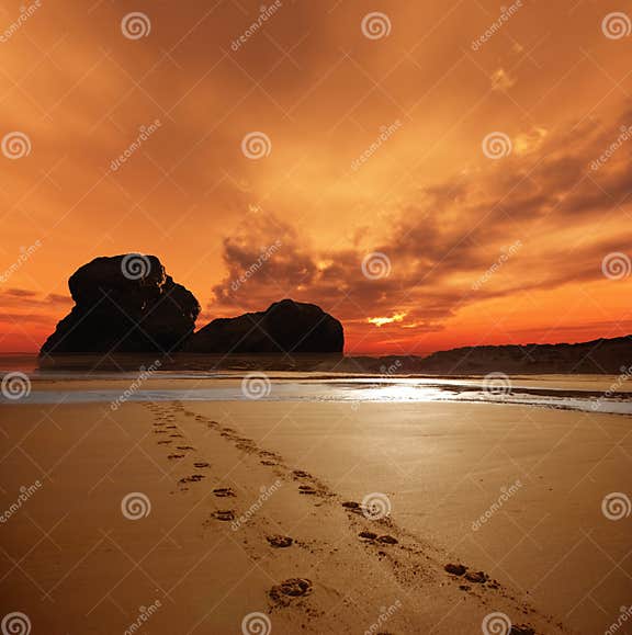 Sunset footprints stock image. Image of path, footsteps - 13583755