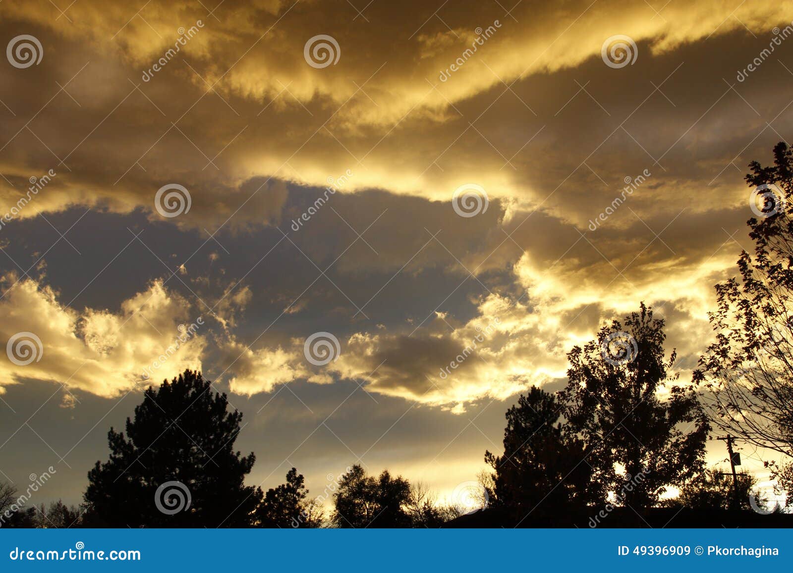 Sunset in forest stock image. Image of brown, view, colorado - 49396909