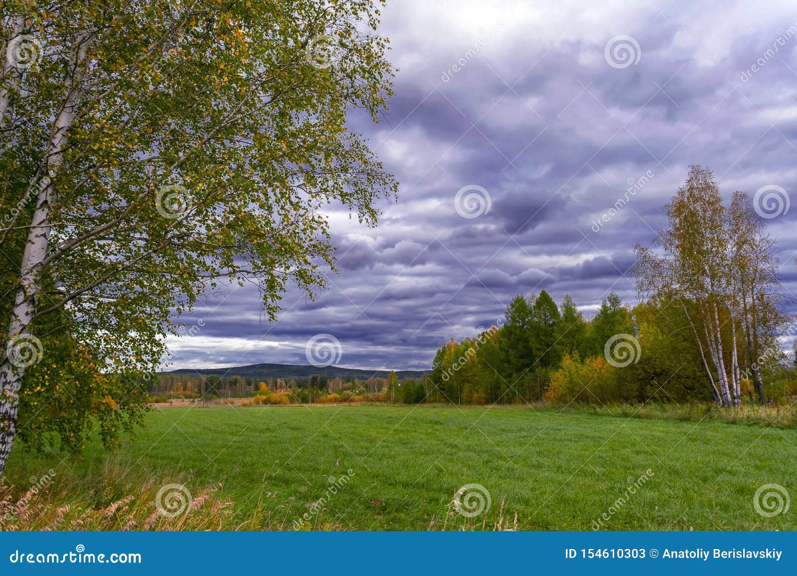 Sunset at the Forest Edge. Autumn Landscape Stock Image - Image of ...