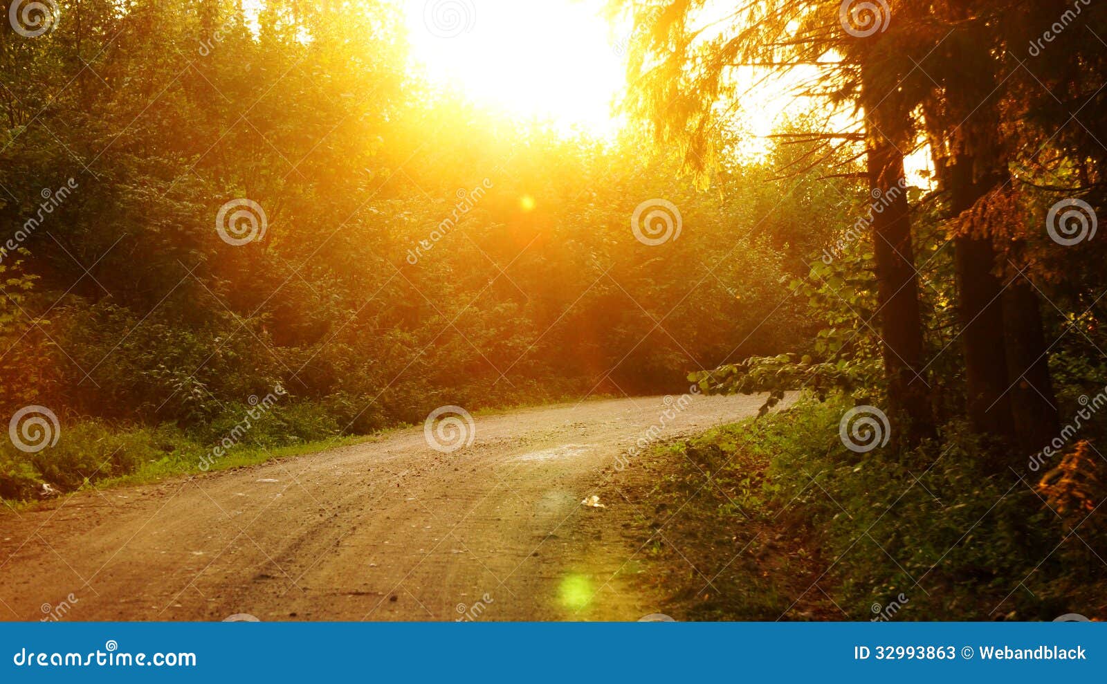 Sunset forest fairy road stock image. Image of woods - 32993863