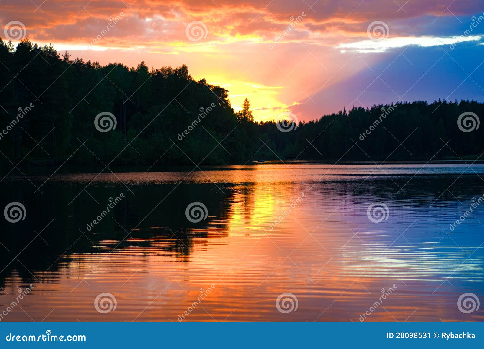 Sunset on the forest lake stock image. Image of dramatic - 20098531