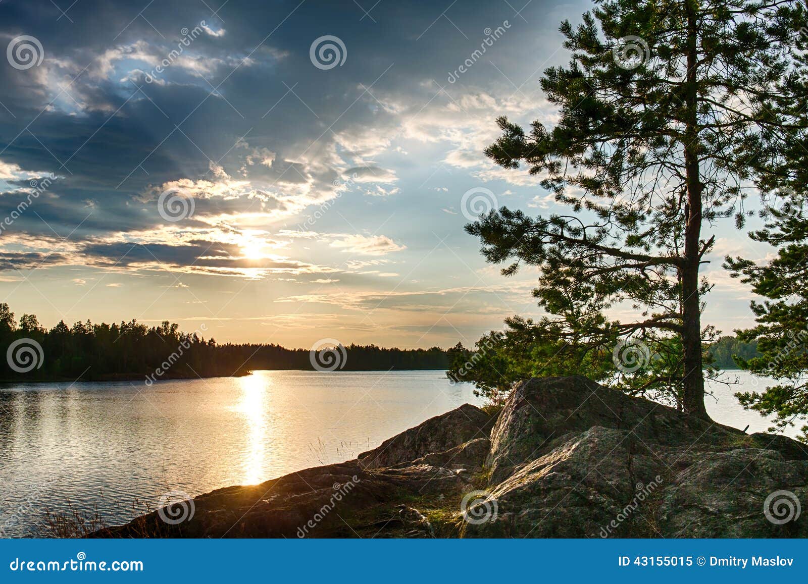 Sunset on the forest lake stock image. Image of tranquil - 43155015