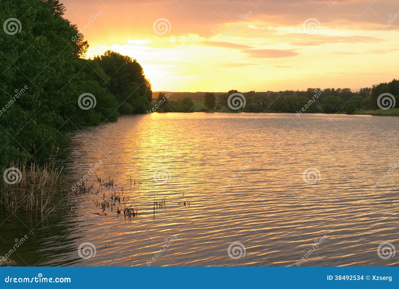 Sunset on forest lake stock photo. Image of mood, land - 38492534