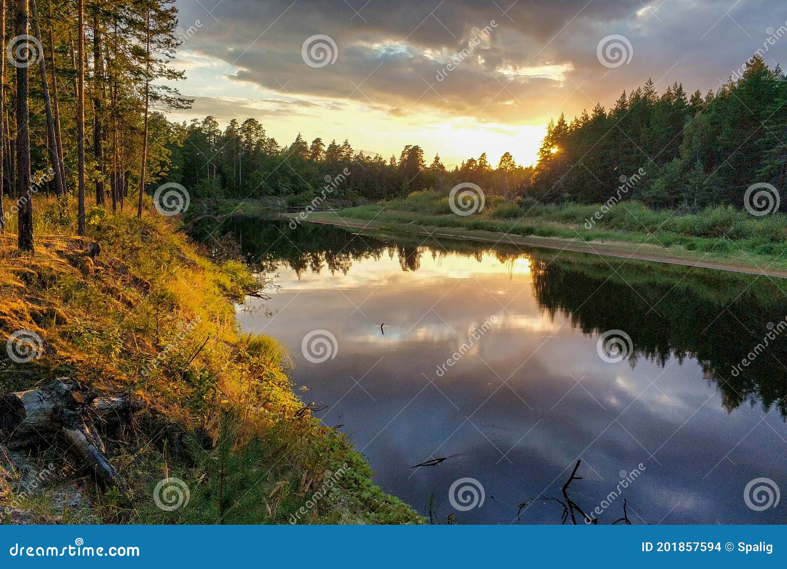 Sunset on the forest river stock photo. Image of landscape - 201857594