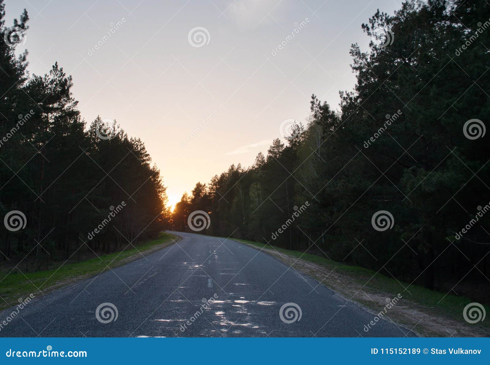 Sunset on a forest road, stock image. Image of forest - 115152189