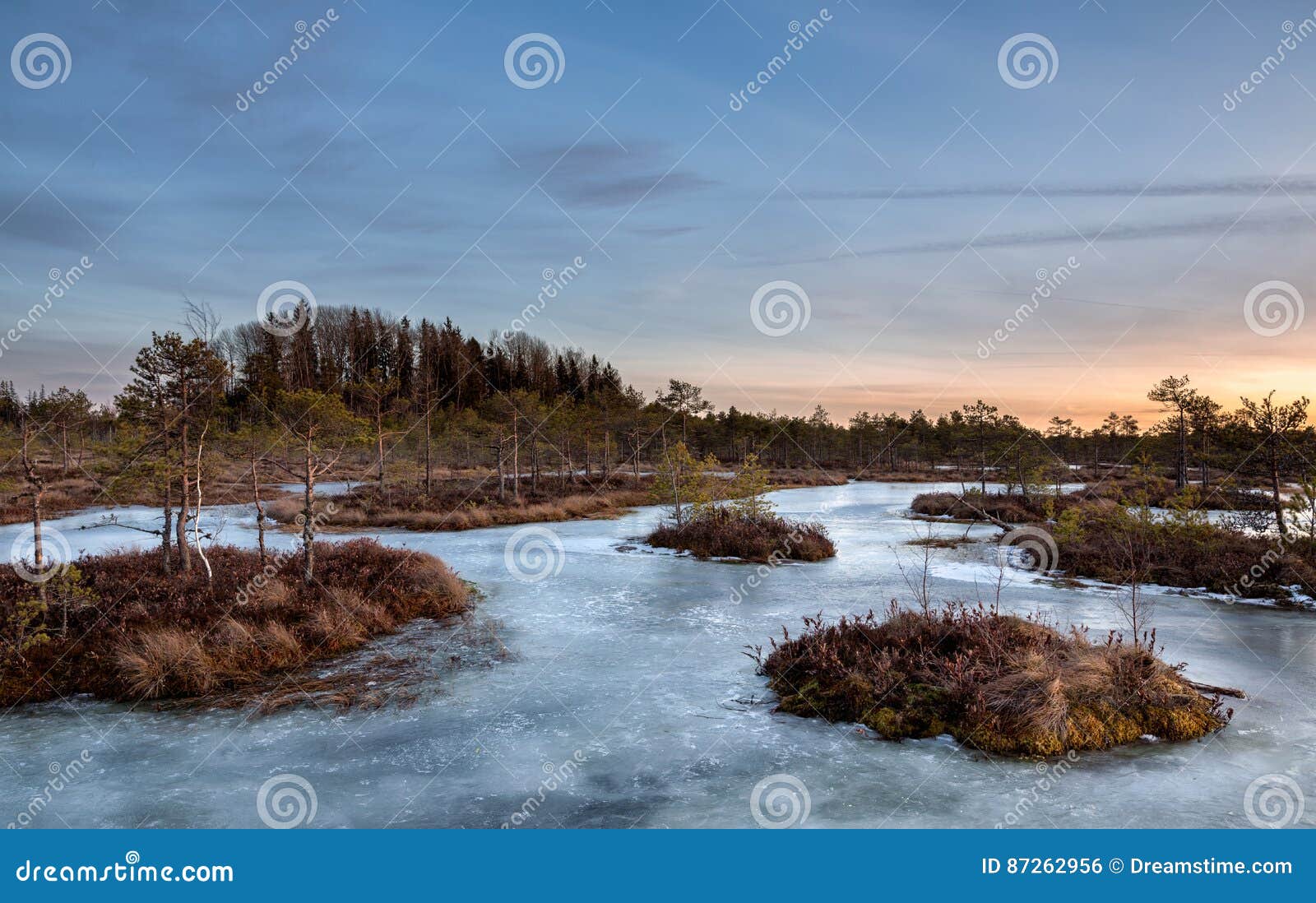 Sunset in the frozen bog stock photo. Image of lake, sell - 87262956