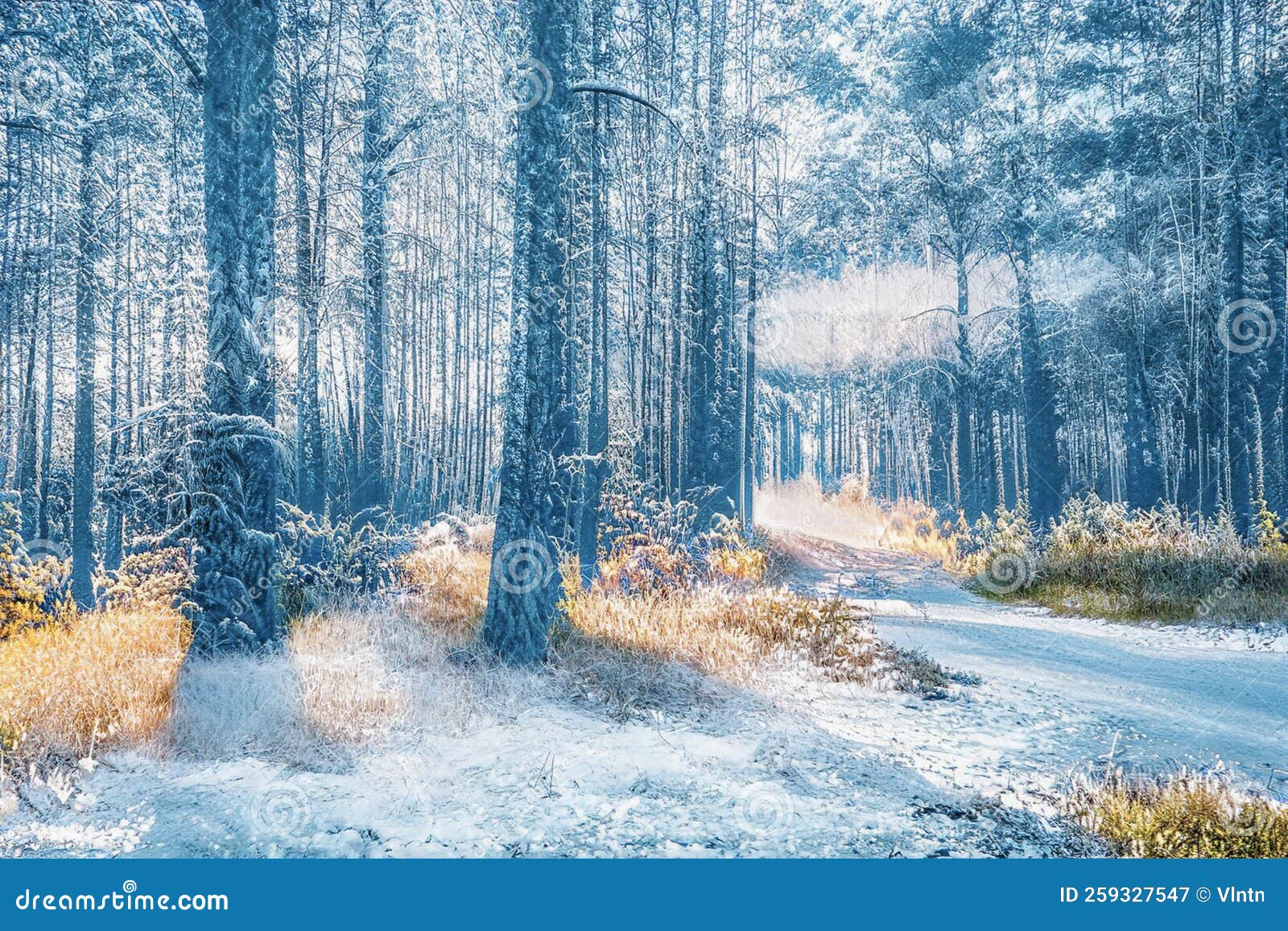Sunset in Frozen Snowy Forest Stock Image - Image of landscape ...