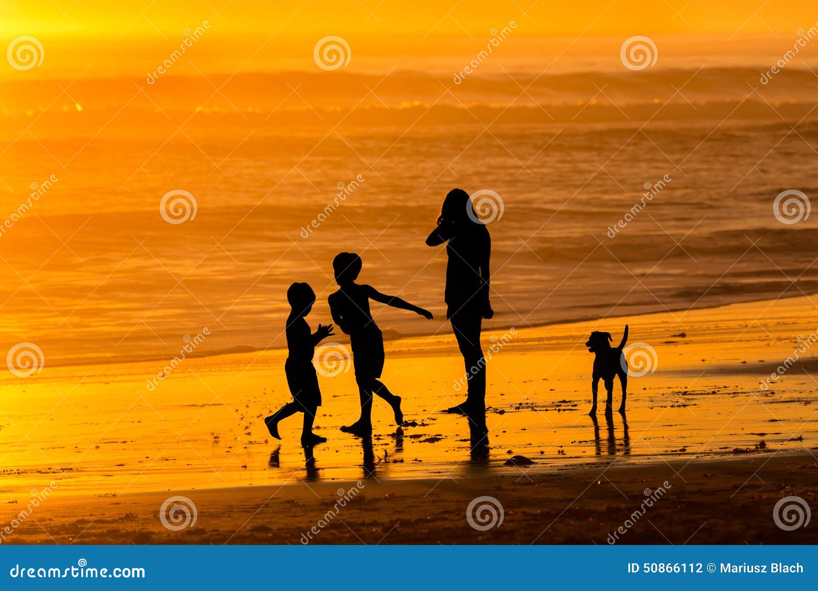Sunset fun stock photo. Image of light, colorful, active - 50866112