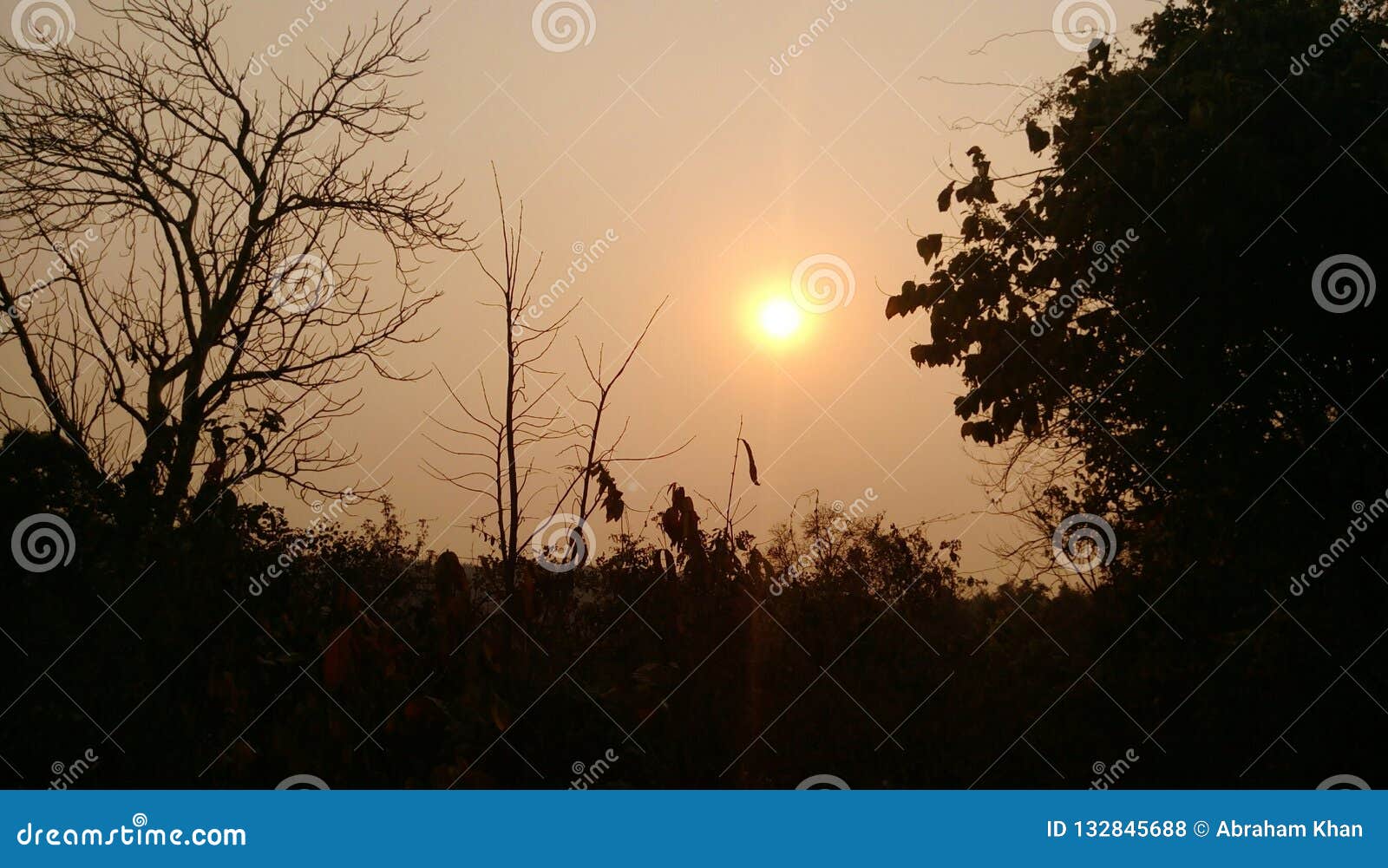 Sunset in garden stock photo. Image of evening, forest - 132845688
