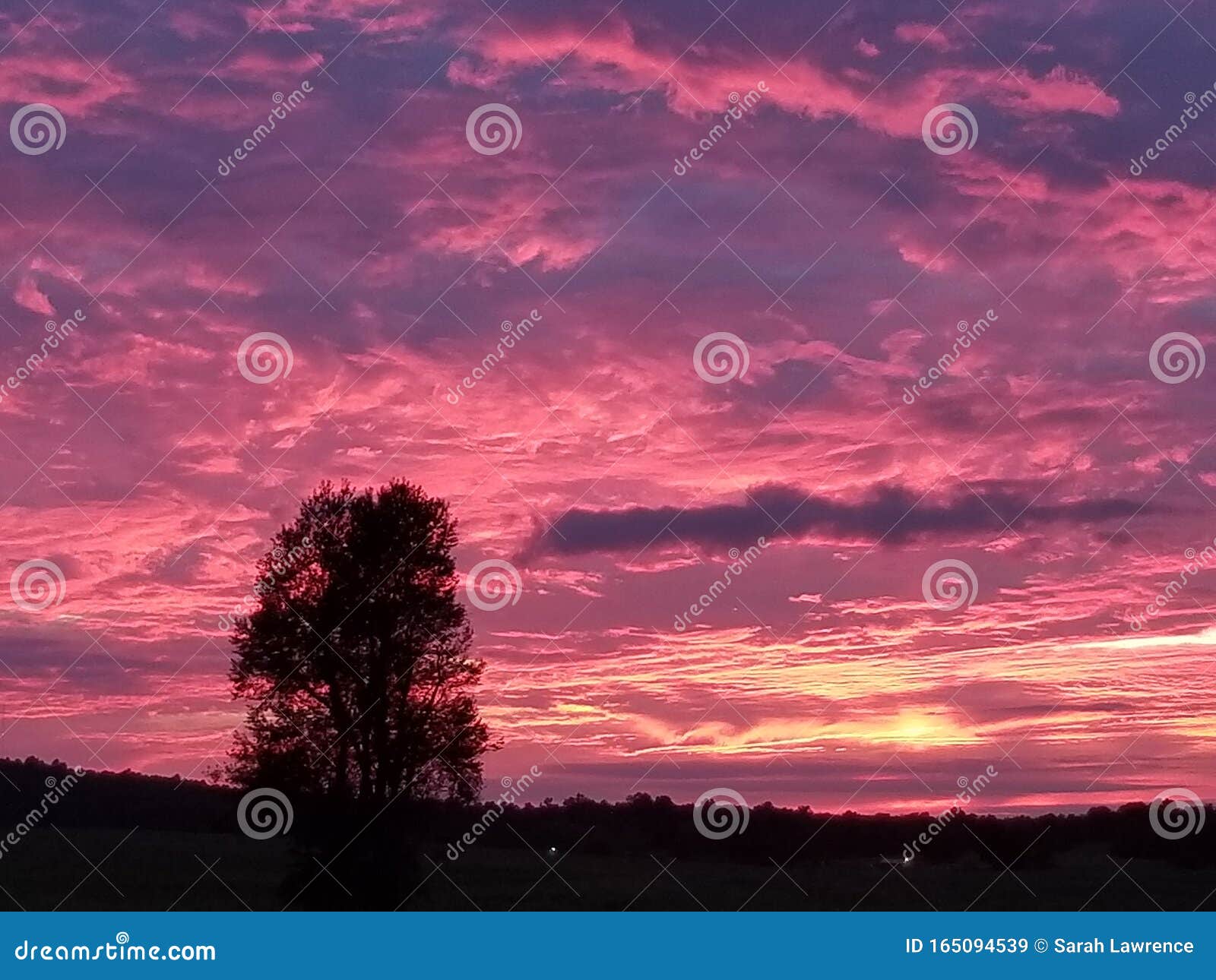 Sunset gaze stock image. Image of nature, trees, nofilter - 165094539