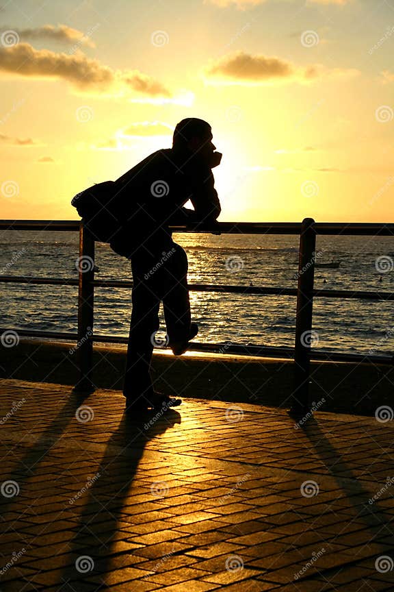Sunset Gazing stock photo. Image of evening, silhouette - 146262