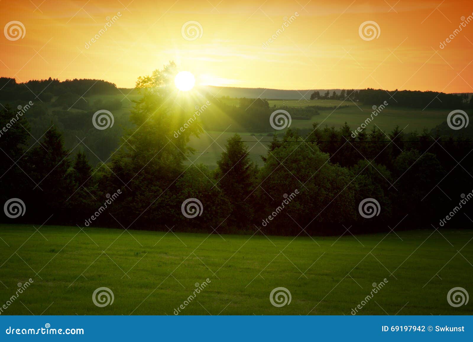 Sunset in German Summer Forest. Stock Photo - Image of natural ...