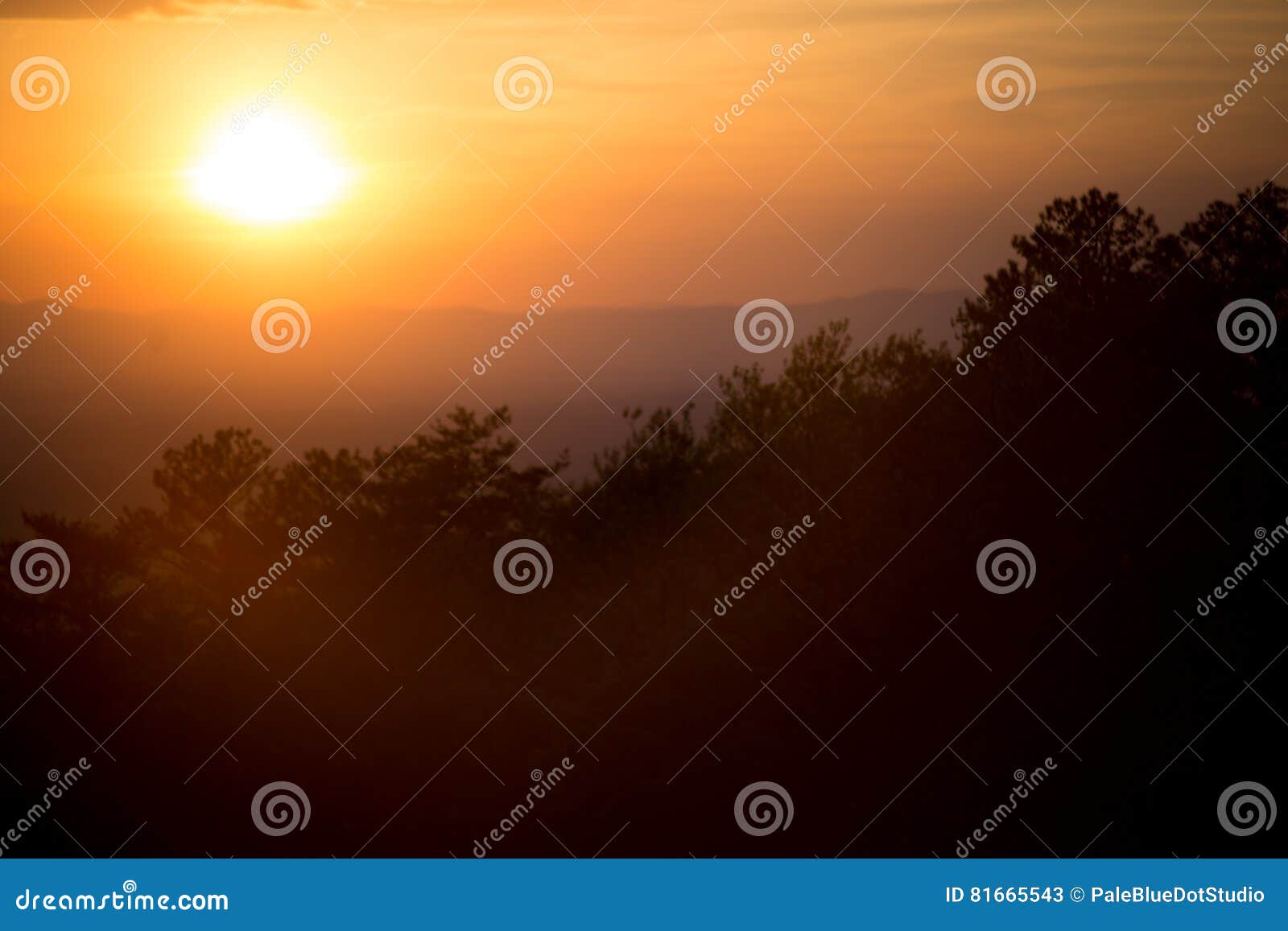 Sunset Glare stock image. Image of wedding, glow, yellow - 81665543