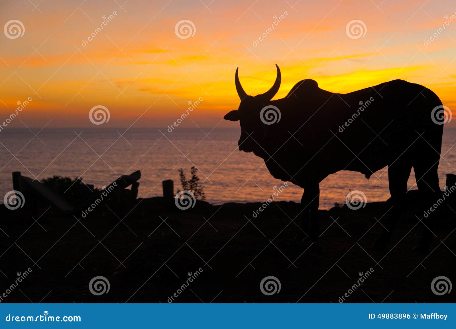 Sunset goa stock photo. Image of clouds, twilight, india - 49883896