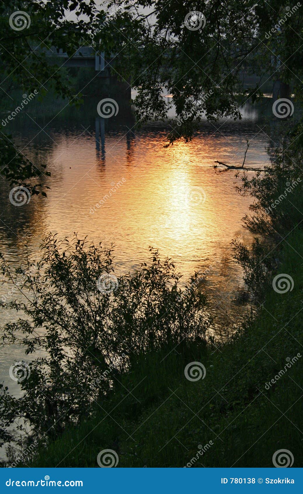 Sunset in gold stock photo. Image of silhouette, sunset - 780138