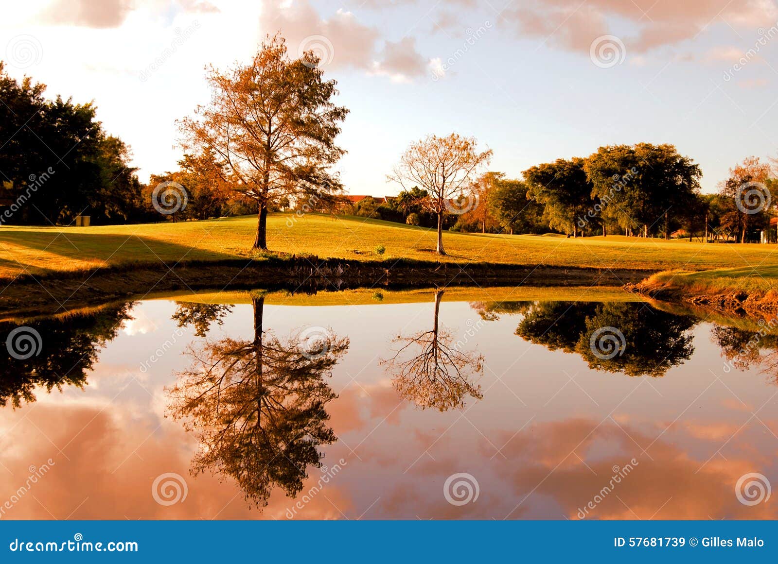 Sunset in a Golf Course, Florida Stock Image - Image of rays, green ...