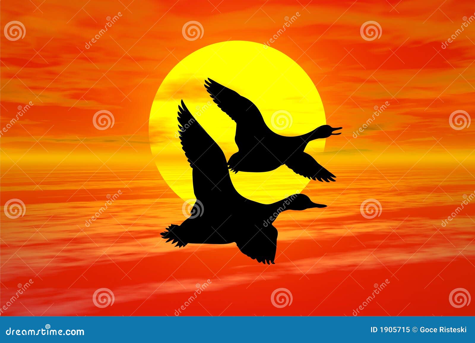 Sunset With Goose Stock Image | CartoonDealer.com #1905715
