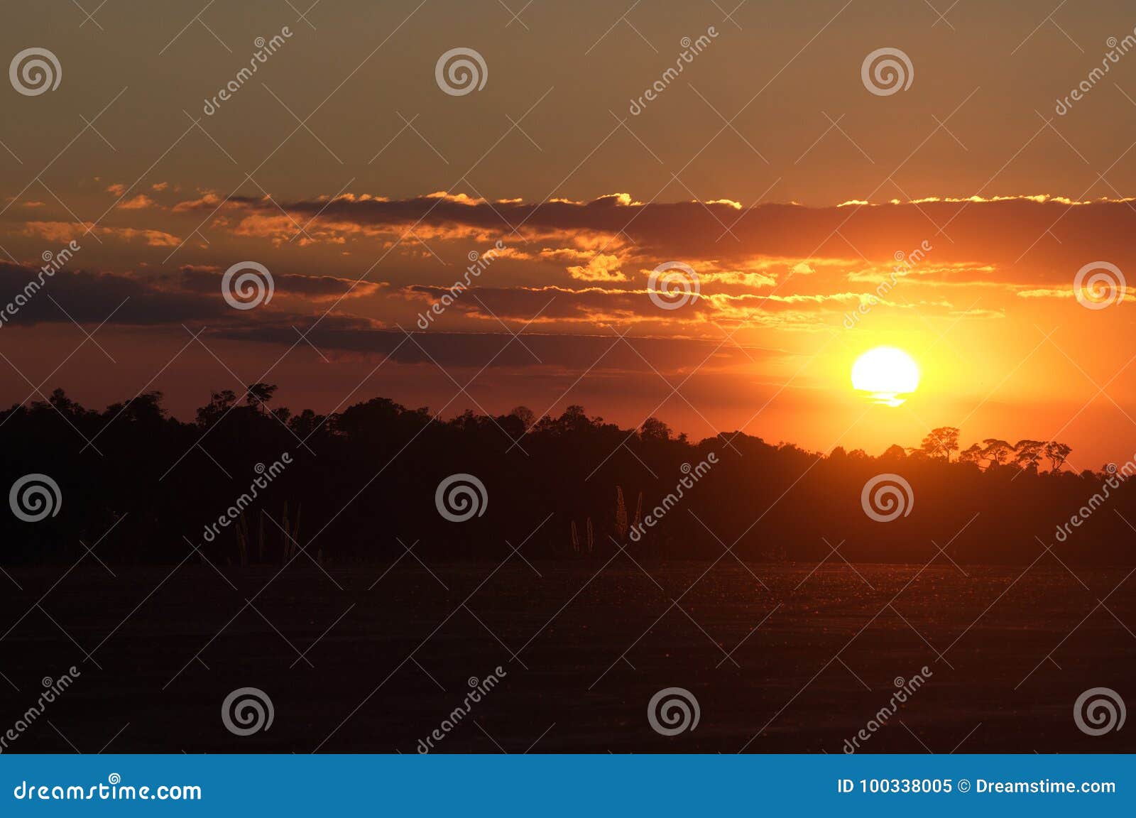 Sunset on grass foreground stock image. Image of field - 100338005