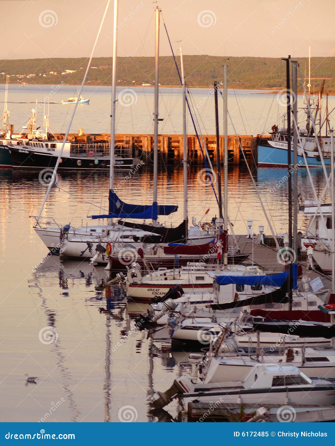 Sunset Harbor stock image. Image of sunrise, sail, sailing - 6172485