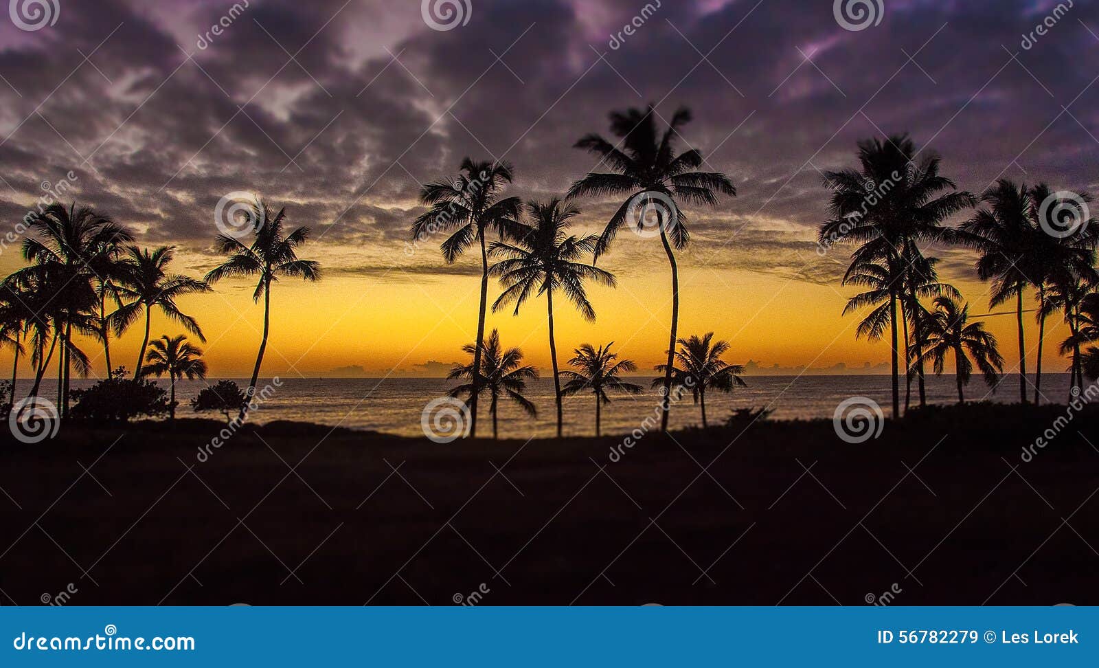 Sunset in Hawaii stock image. Image of landscape, panorama - 56782279