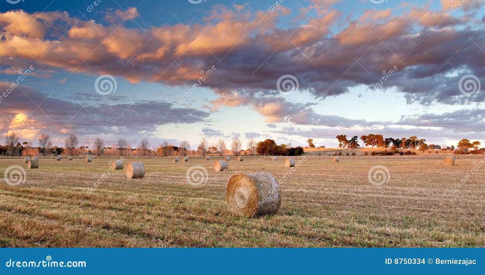 Sunset Hay Bales stock photo. Image of rural, clouds, outback - 8750334