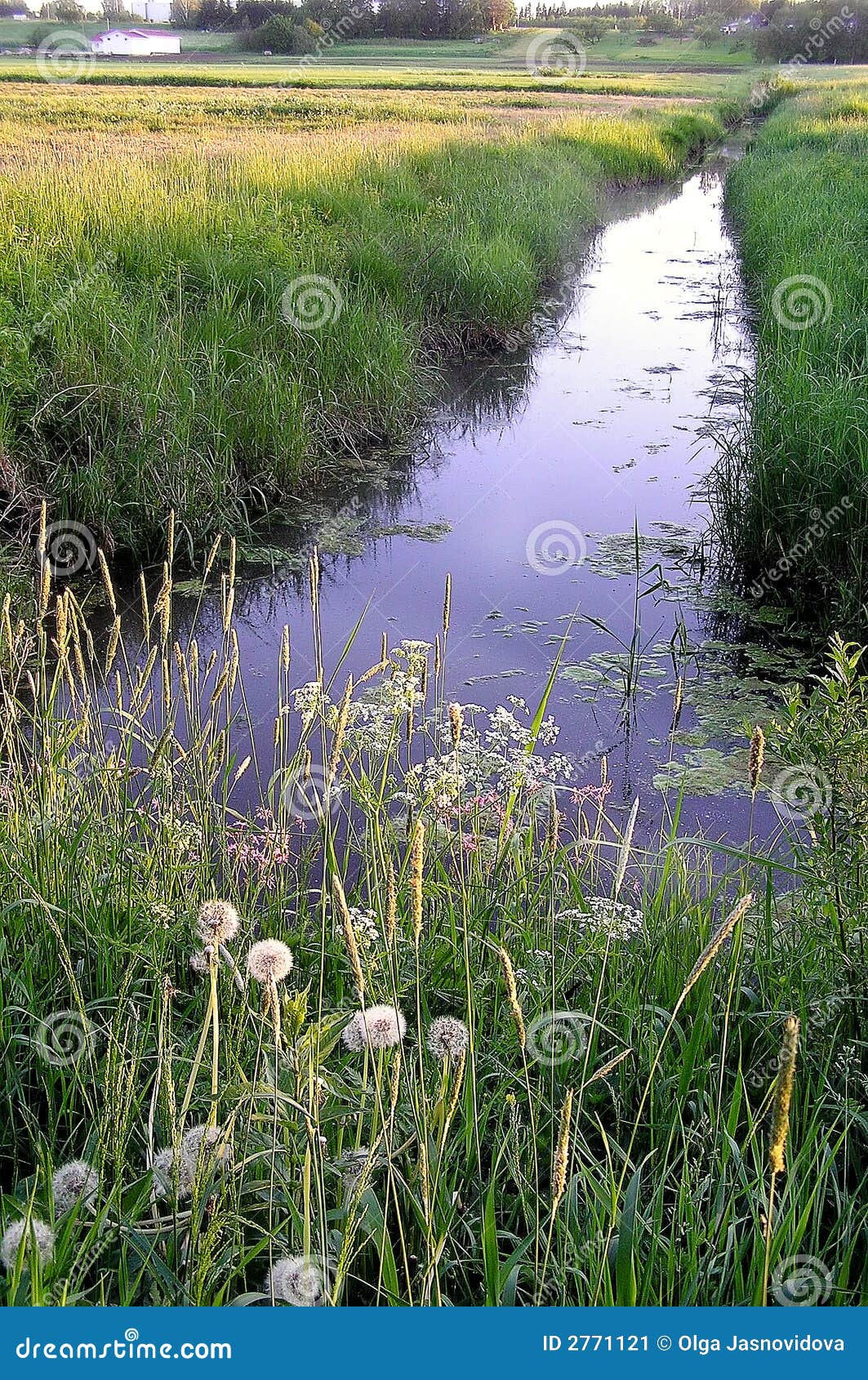 Sunset on hayfield stock image. Image of river, agriculture - 2771121