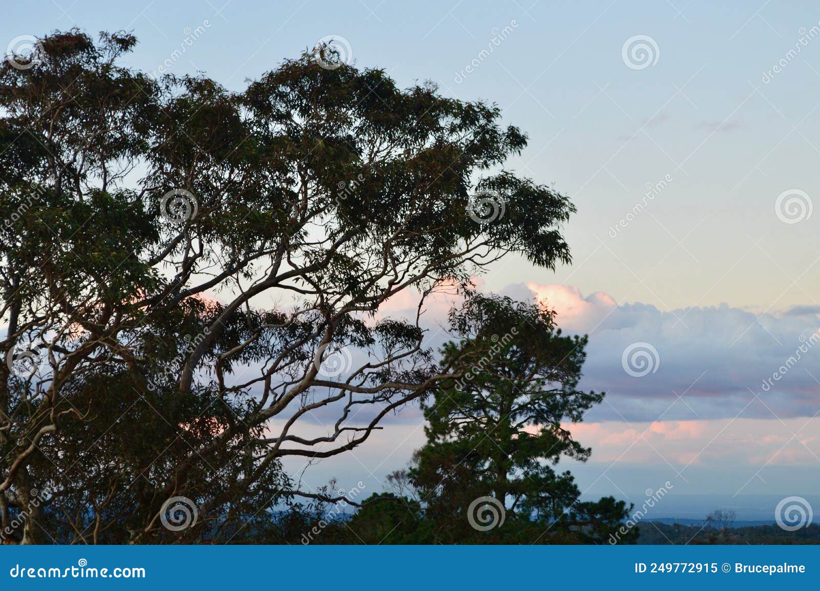 Sunset at Hazelbrook in the Blue Mountains Stock Image - Image of ...