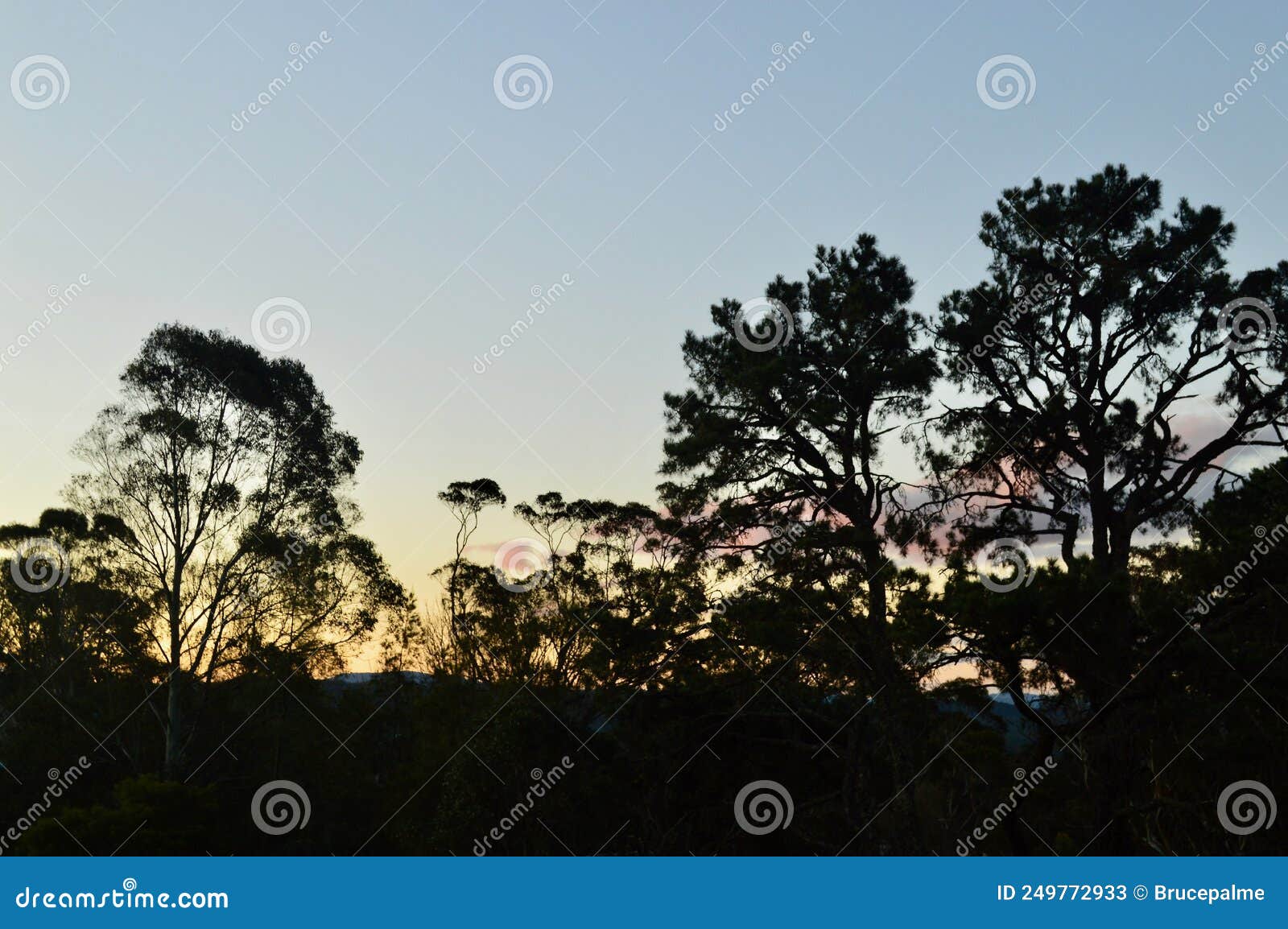 Sunset at Hazelbrook in the Blue Mountains Stock Image - Image of ...