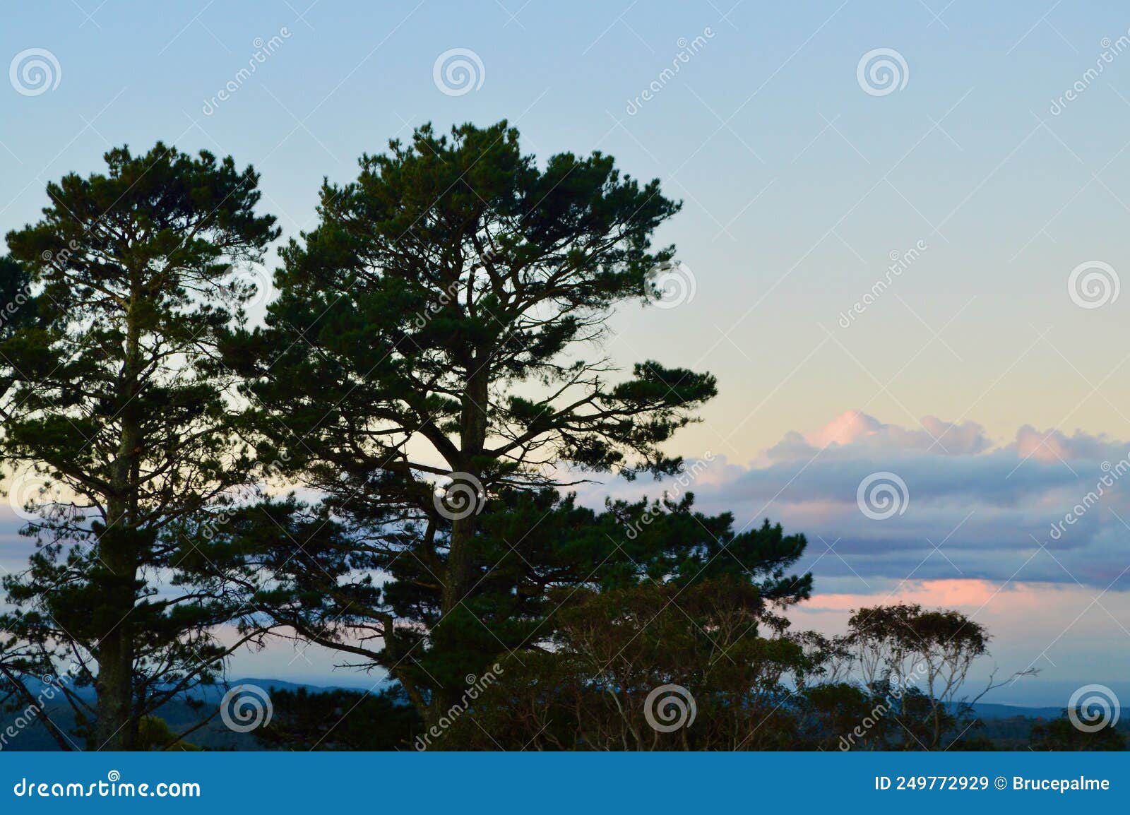 Sunset at Hazelbrook in the Blue Mountains Stock Image - Image of ...