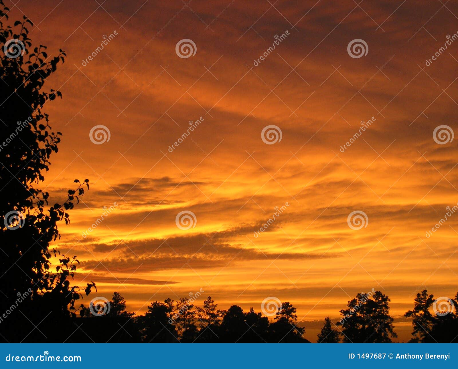 Sunset at home stock image. Image of horizon, natural - 1497687