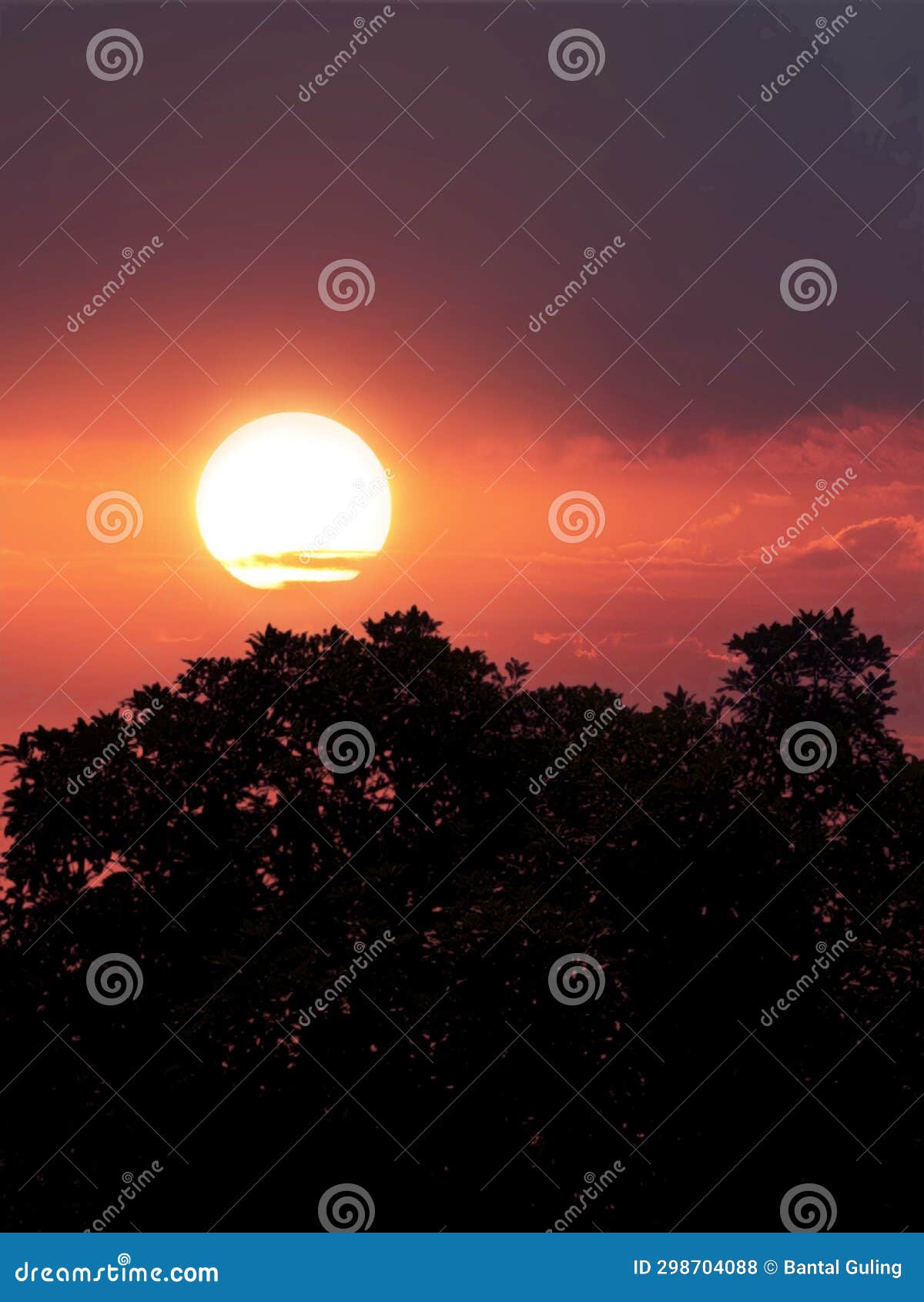 Sunset stock photo. Image of tree, clouds, beautiful - 298704088