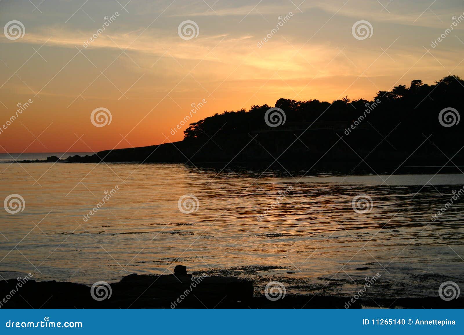 Sunset Over Forested Coastline Stock Photo - Image of cloudscape ...