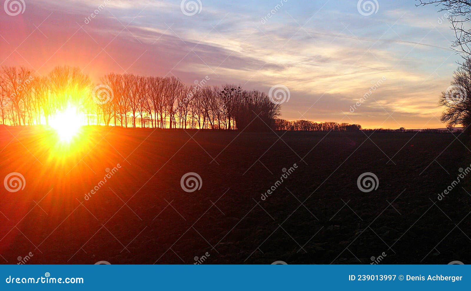 Sunset on the Horizon between Trees Stock Image - Image of outdoor ...