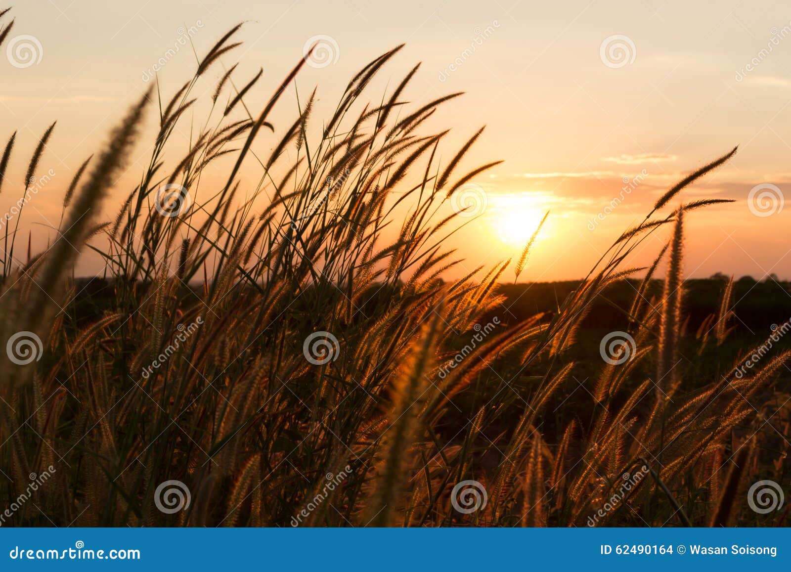 The Sunset with Hot Color Tone Stock Photo - Image of landscape, scene ...