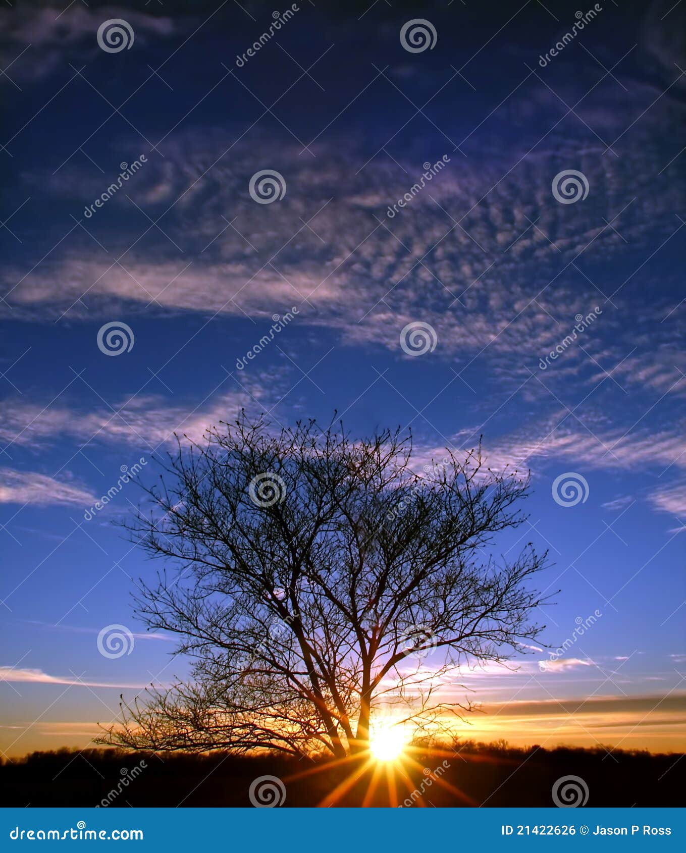 Sunset in Illinois stock photo. Image of cloudscape, pretty - 21422626