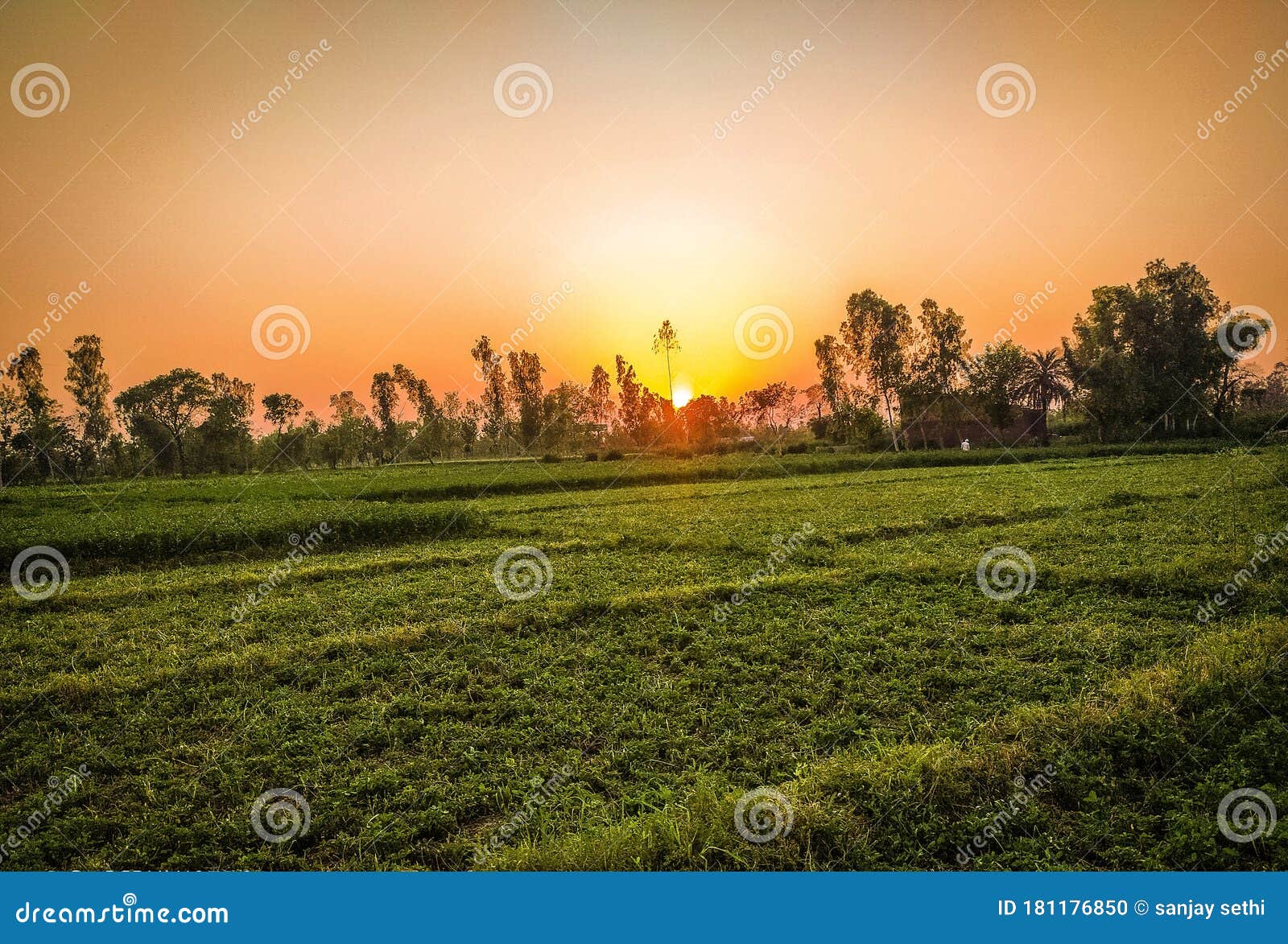 Sunset in india stock photo. Image of sunset, sunlight - 181176850