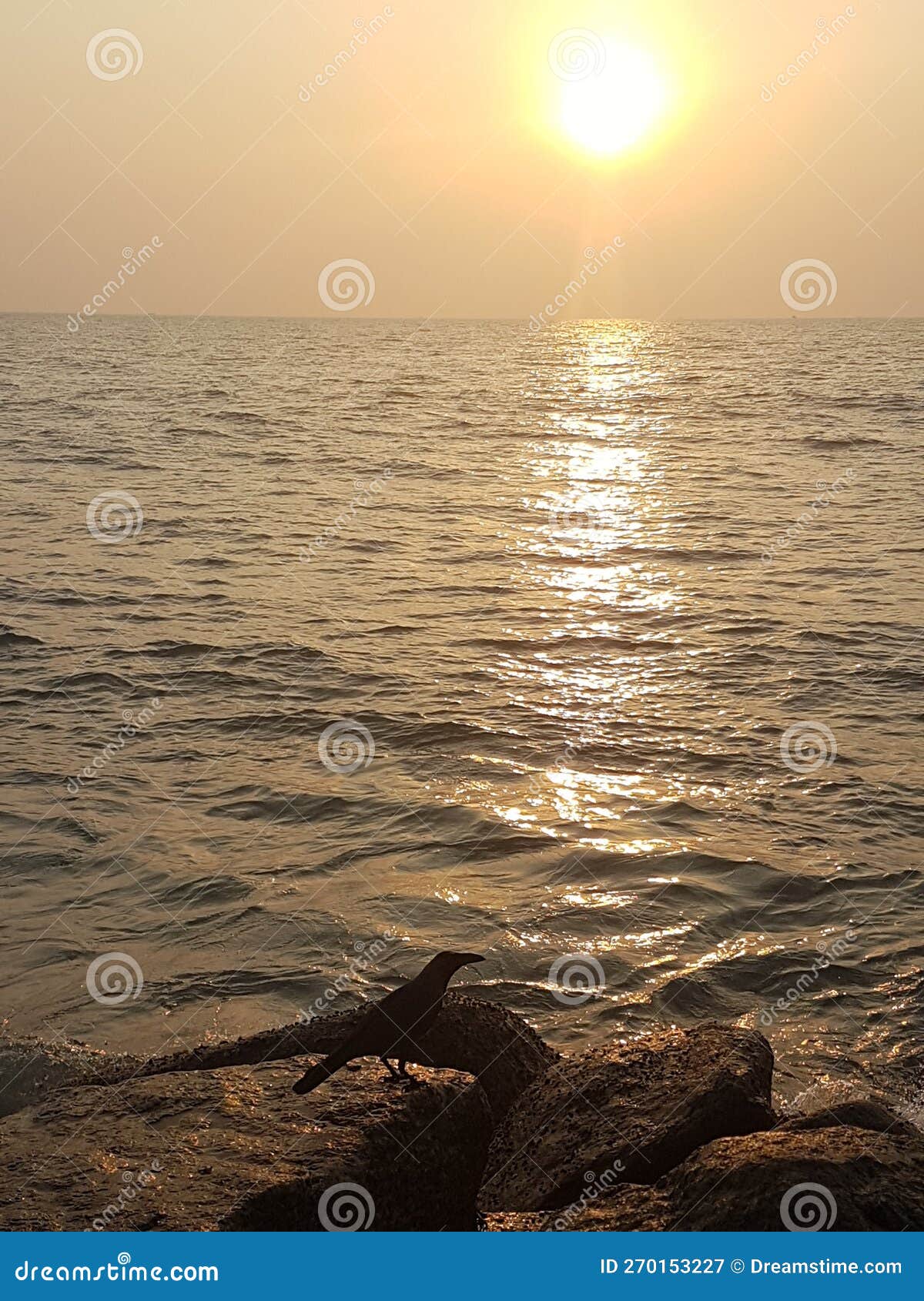 Sunset in india stock image. Image of wave, vacation - 270153227