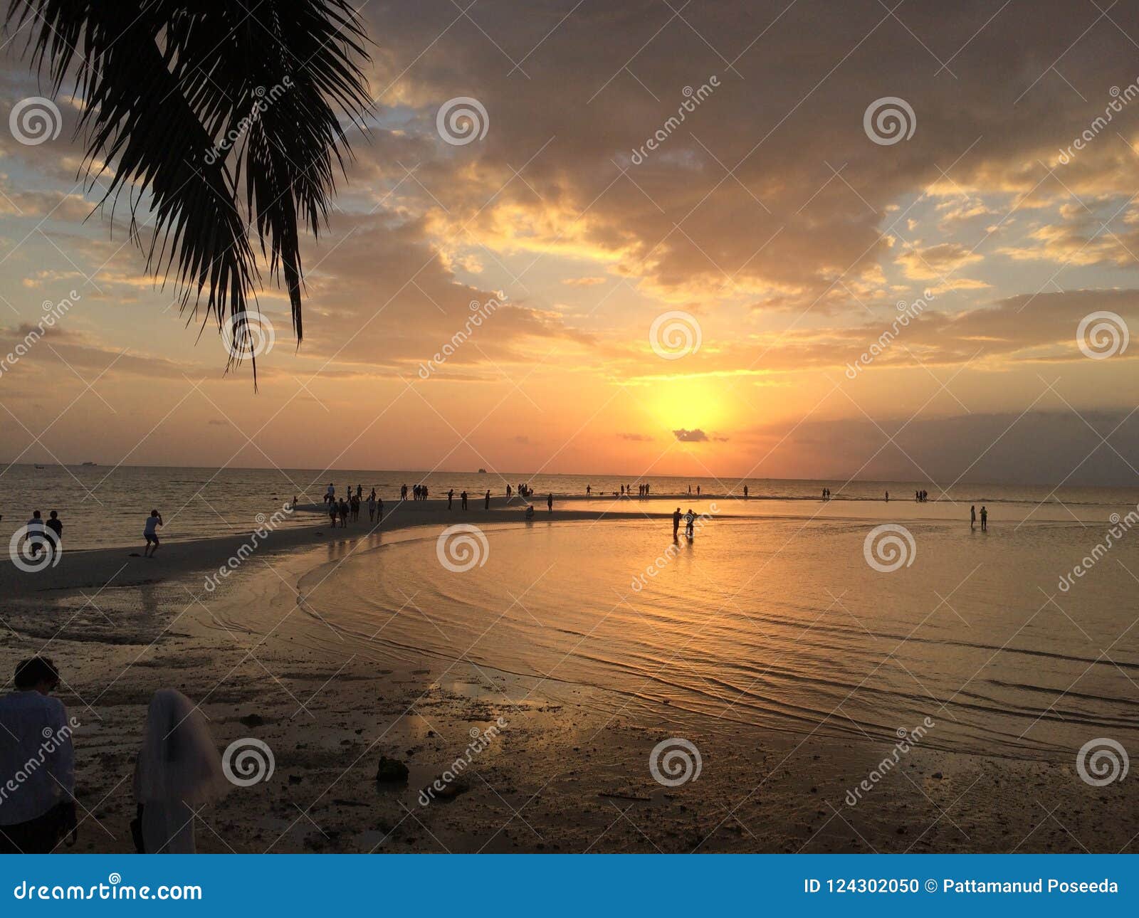 Sunset stock photo. Image of tree, island, beautiful - 124302050