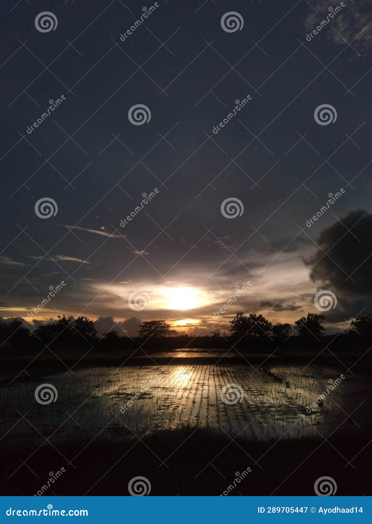Sunset on the Island of Java Stock Image - Image of ricefield, java ...