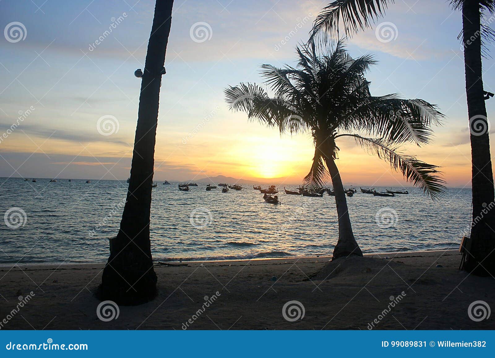 Pipi islands stock image. Image of palm, beach, ocean - 99089831