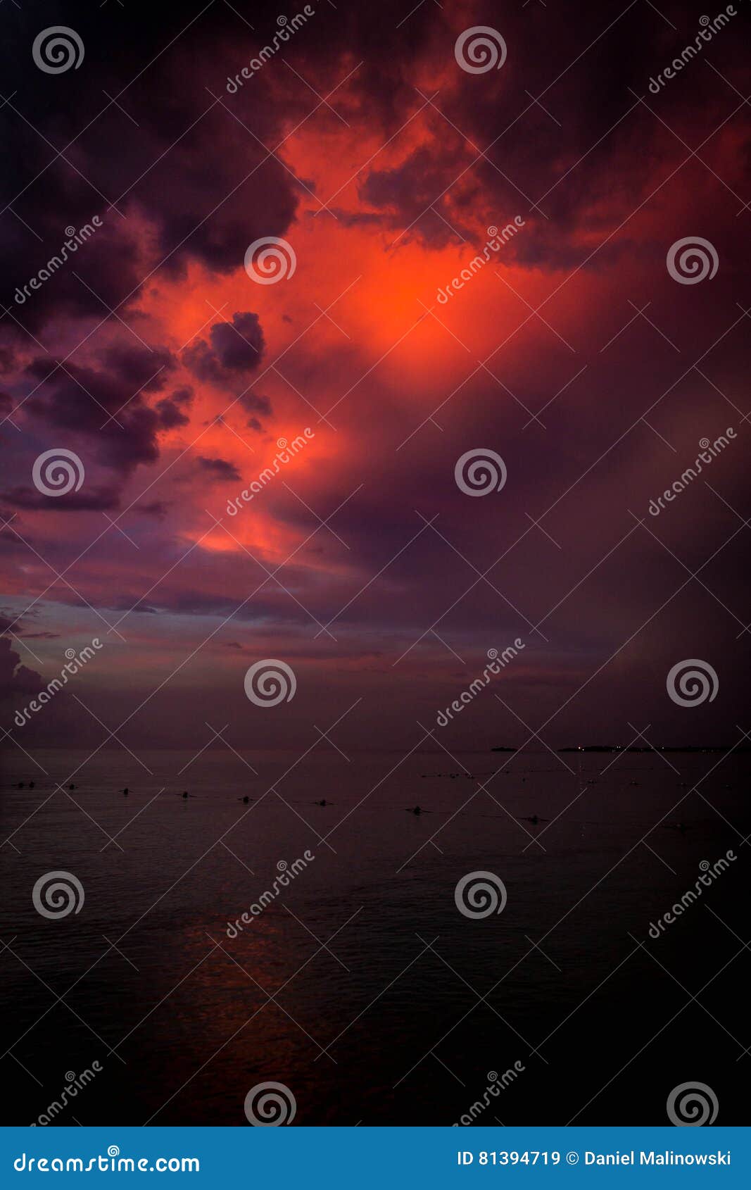 Sunset stock image. Image of negril, trees, relax, magenta - 81394719
