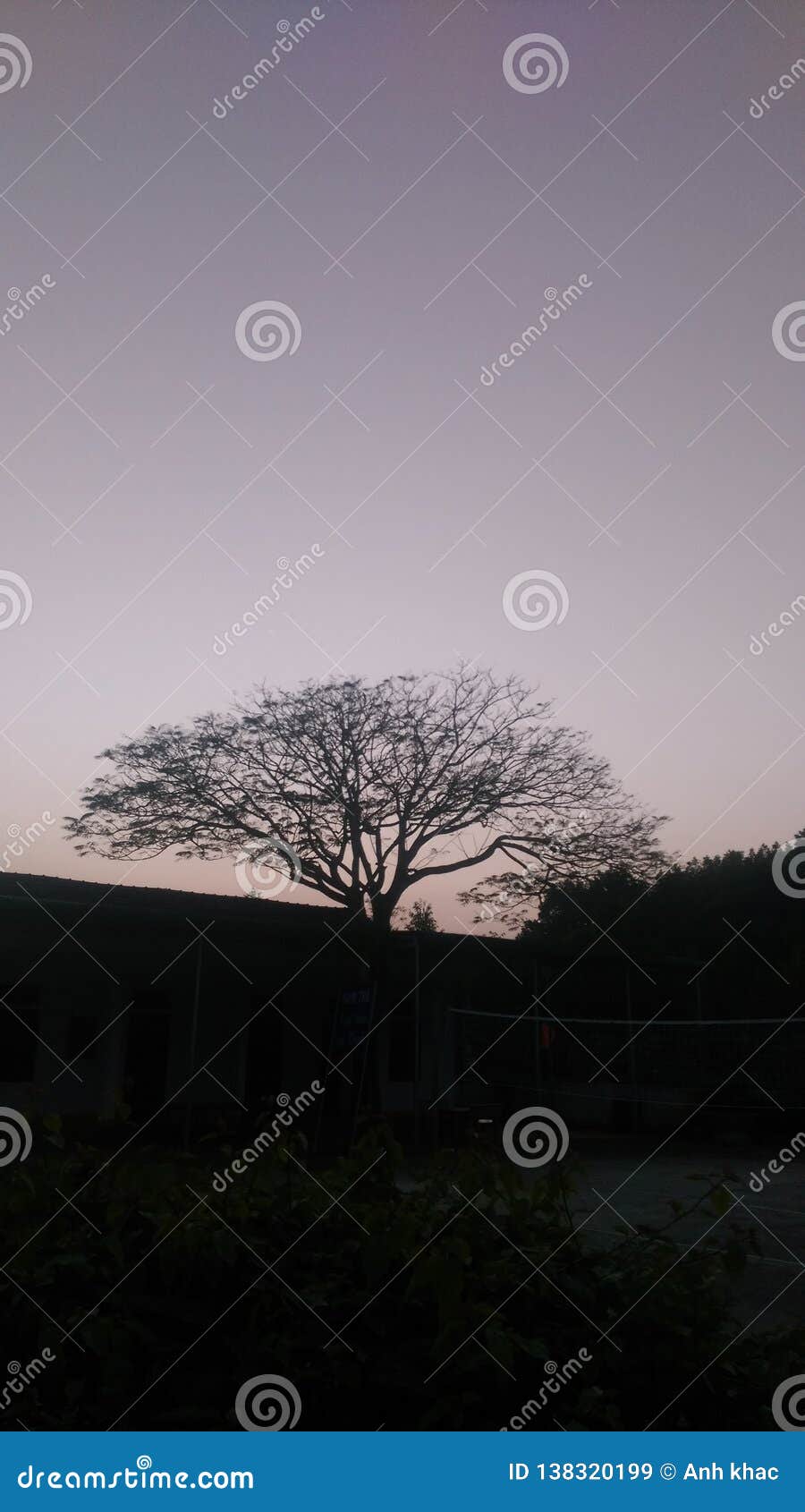 Sunset in japan stock image. Image of sunset, japan - 138320199